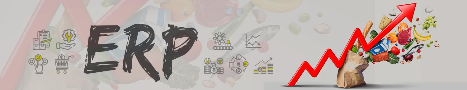 TheProwess | Erişilebilir Maliyette Uluslararası Bir ERP Çözümü